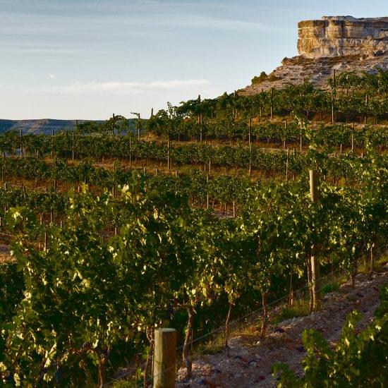 Rueda | SevenFifty Daily