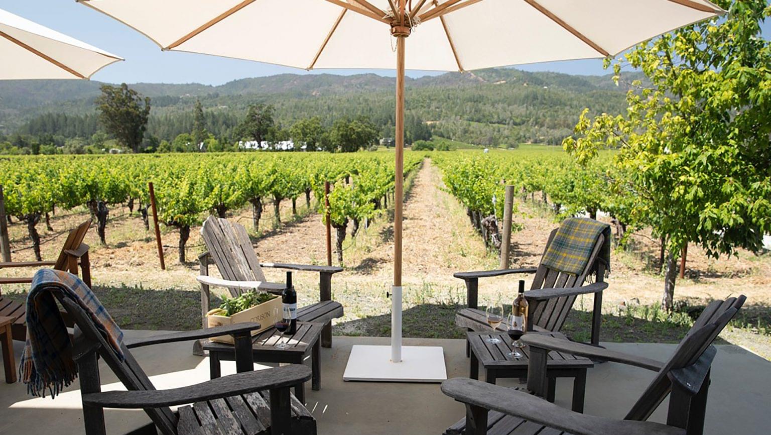 Cathy Corison is a Role Model for Napa Valley Winemakers | SevenFifty Daily