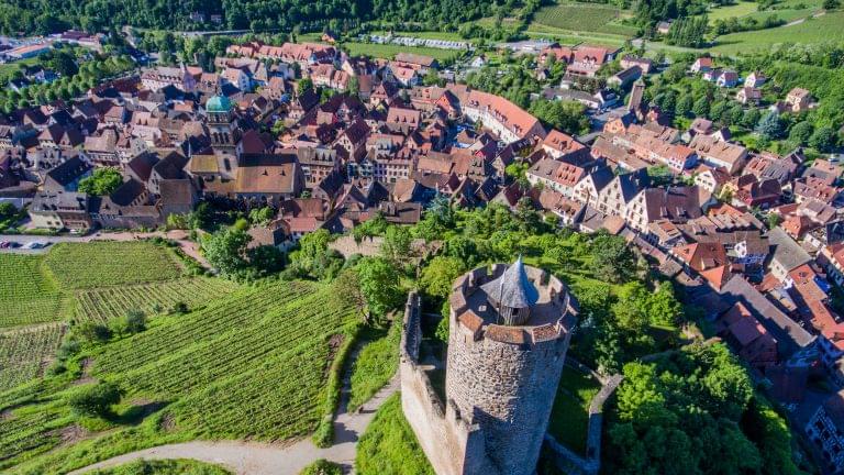 Alsace | SevenFifty Daily