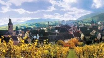 Alsace | SevenFifty Daily