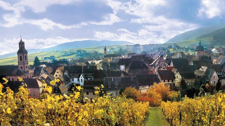 Alsace | SevenFifty Daily