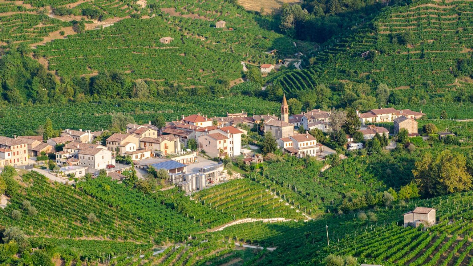 Understanding the Premium Proseccos of Cartizze | SevenFifty Daily