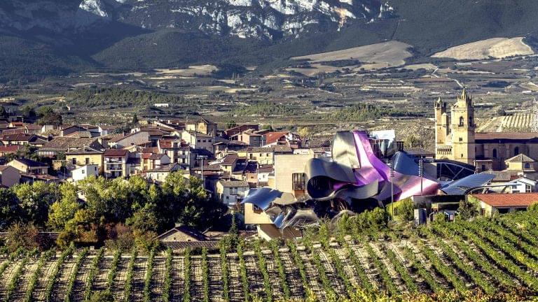 Rioja | SevenFifty Daily