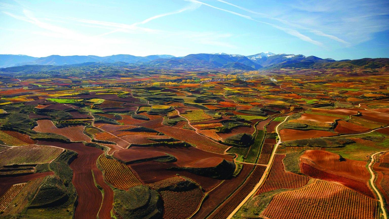 Rioja | SevenFifty Daily