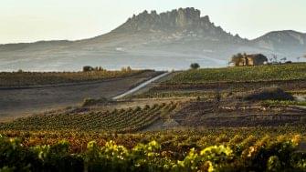 Rioja | SevenFifty Daily