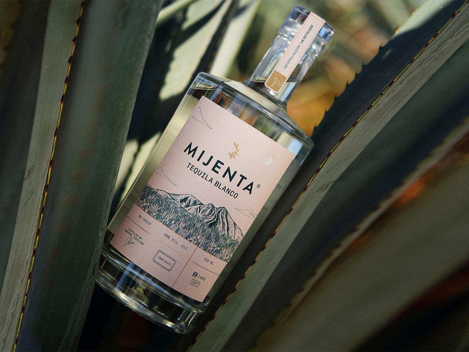 Mijenta Tequila | SevenFifty Daily