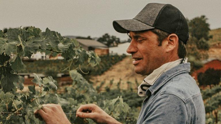 Using Alternative Yeasts to Replace Sulfites in Wines | SevenFifty Daily