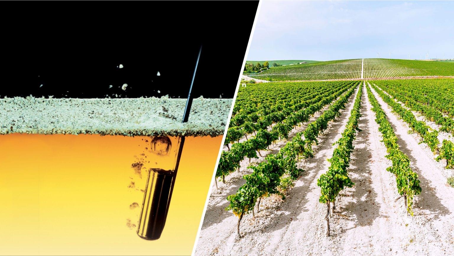 What Sherry’s New Regulations Mean for the Region | SevenFifty Daily