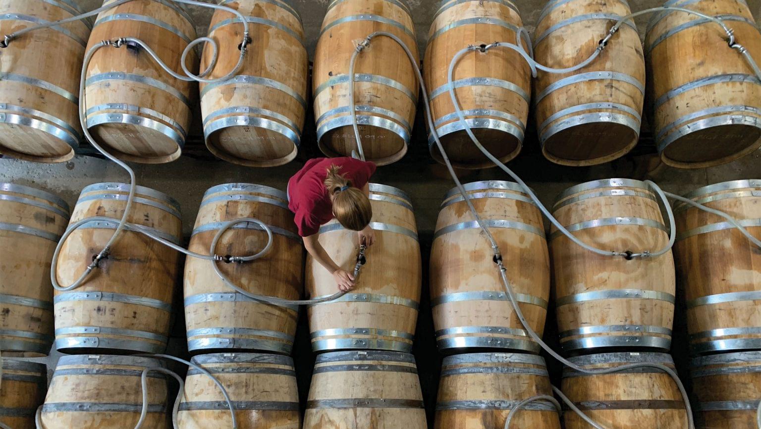 The Growing Importance of Vintage in Cava | SevenFifty Daily