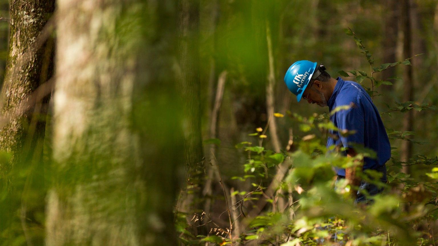 Bourbon, Biodiversity, and the Quest to Save America’s Oak Forests ... Bourbon, Biodiversity, and the Quest to Save America’s Oak Forests ...