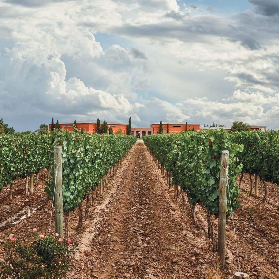 Argentina’s Ruca Malen Crafts Wines with a Distinct Sense of Place ...