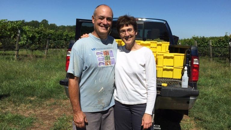 How Viticulture Programs Drive Success for Emerging Wine Regions ...