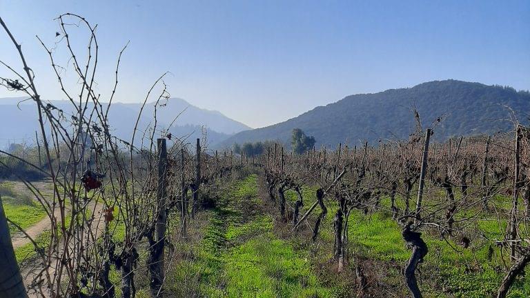 The Benefits of Contour Farming in a Changing Climate | SevenFifty Daily