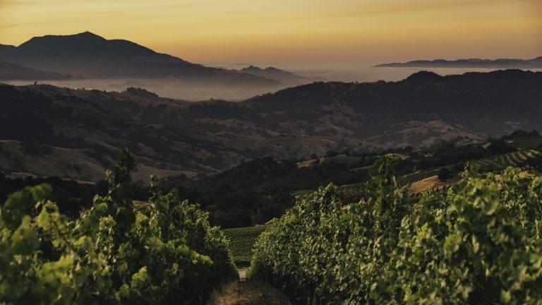 Understanding the Impact of Atmospheric Inversion Layers in Viticulture ...