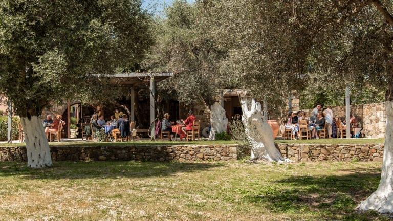 Article: Inside the Evolution of Crete’s Wine Industry | Wines of Crete