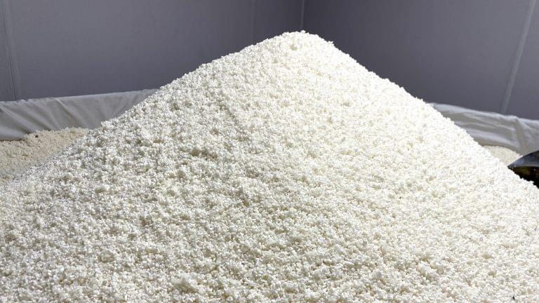 The Science of Koji in Sake Production | SevenFifty Daily