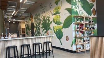 5 Cocktail and Spirits Industry Trends to Watch in 2024 | SevenFifty Daily