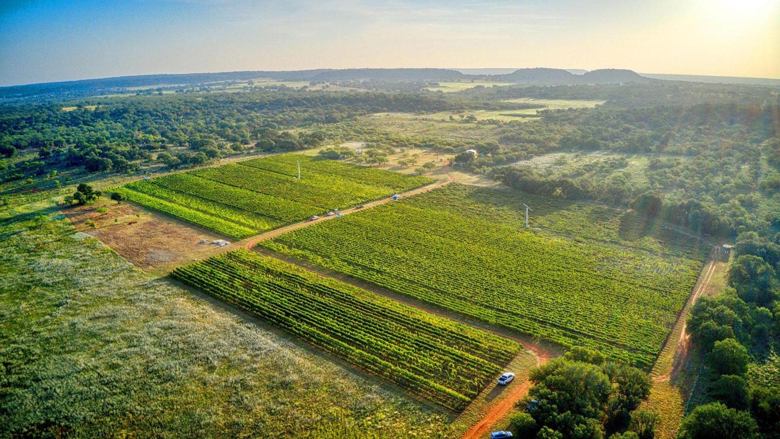 An Insider’s Look at 7 Potential New AVAs | SevenFifty Daily