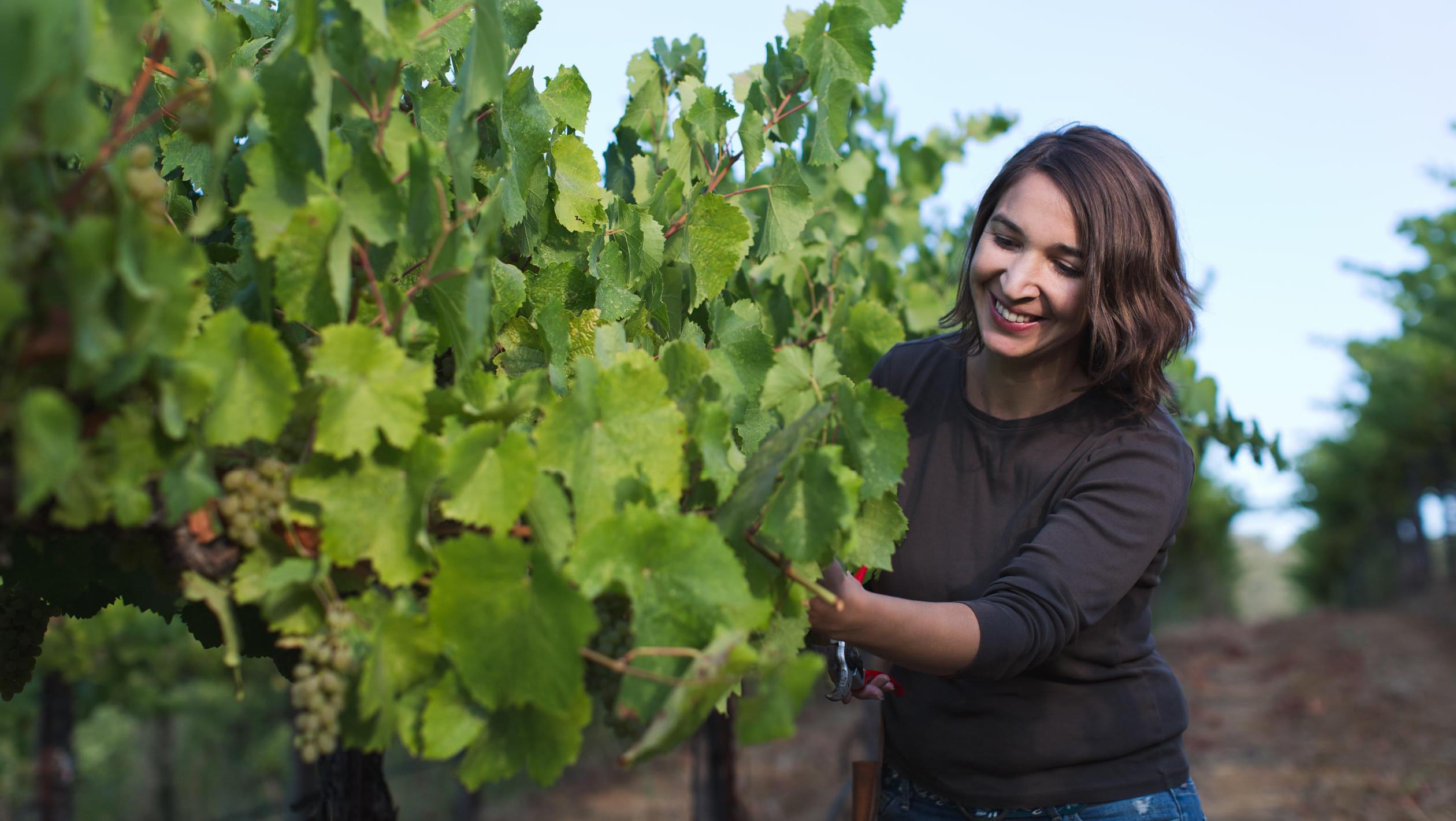 Put that Rosé Down! | SevenFifty Daily