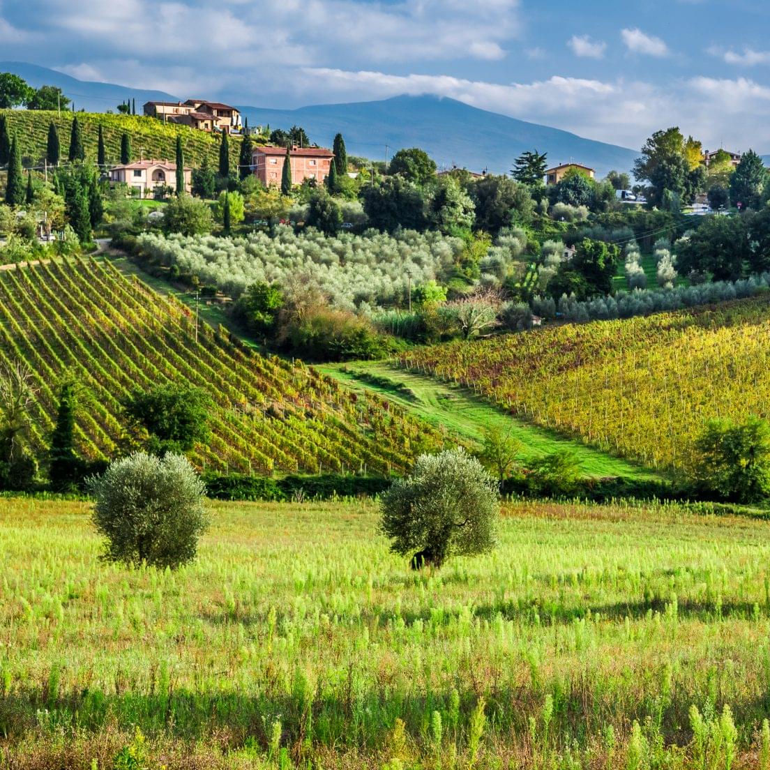 Tuscany | SevenFifty Daily