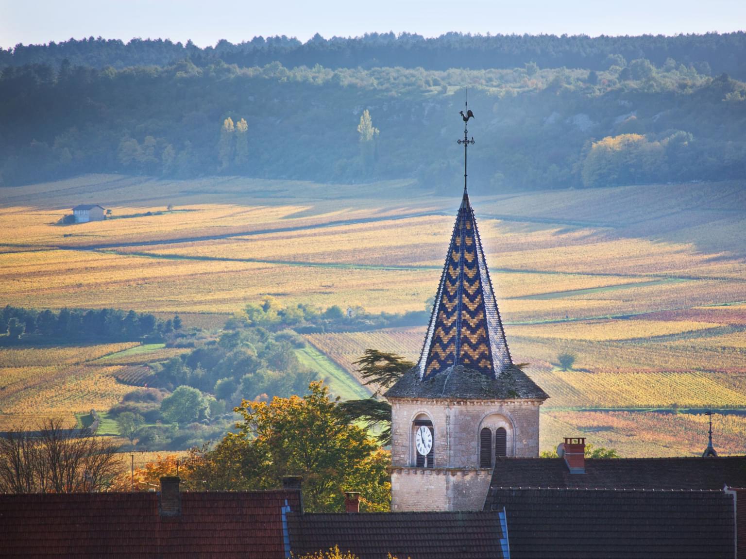 Bourgogne | SevenFifty Daily