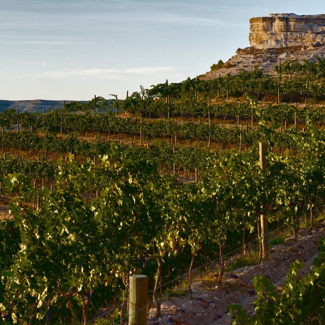 Rueda | SevenFifty Daily