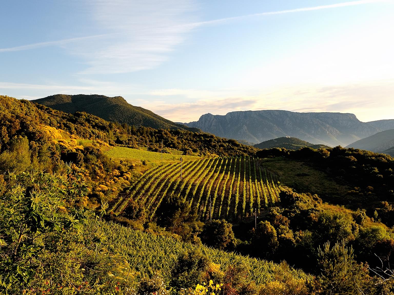 Guide to Languedoc for Wine Professionals | SevenFifty Daily