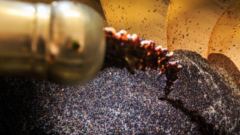 Exploring Rosé Winemaking Techniques from Provence to Chile ...