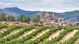 What You Need to Know About Rioja’s New Wine Regulations | SevenFifty Daily