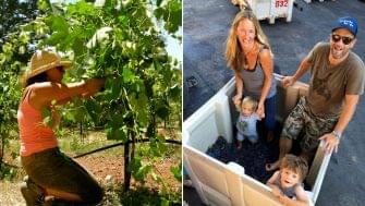 Exploring New Directions for California Wine | SevenFifty Daily