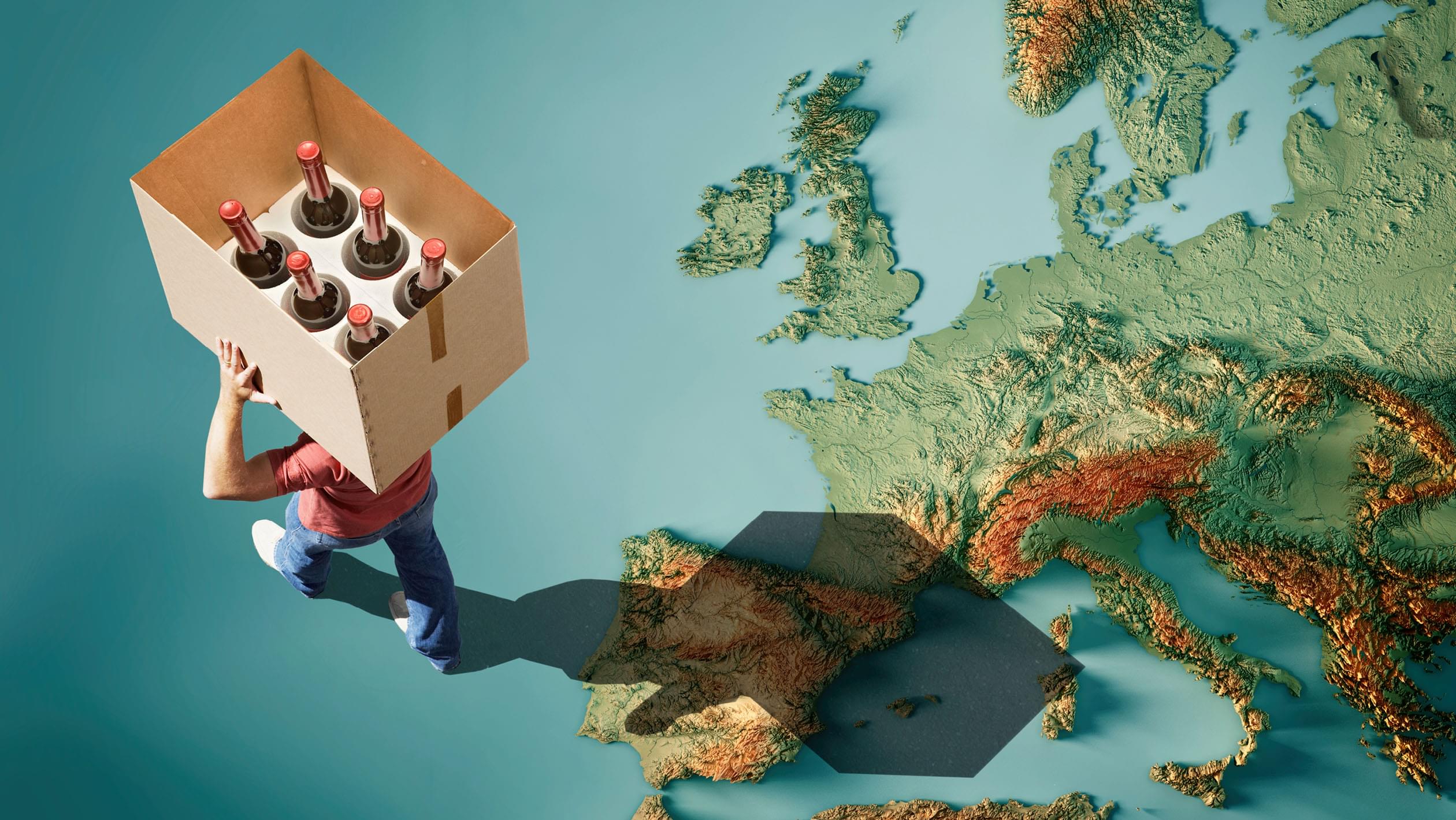 The Ultimate Guide to Launching Your Wine Importing Business ...