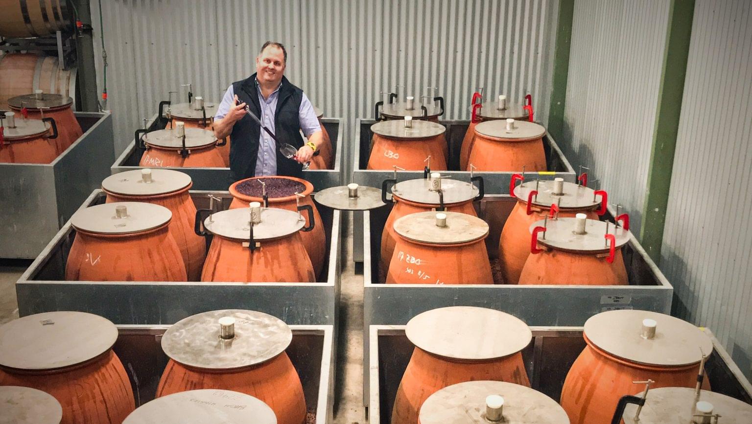 Umami Wines: Where Old World meets New Thinking | SevenFifty Daily