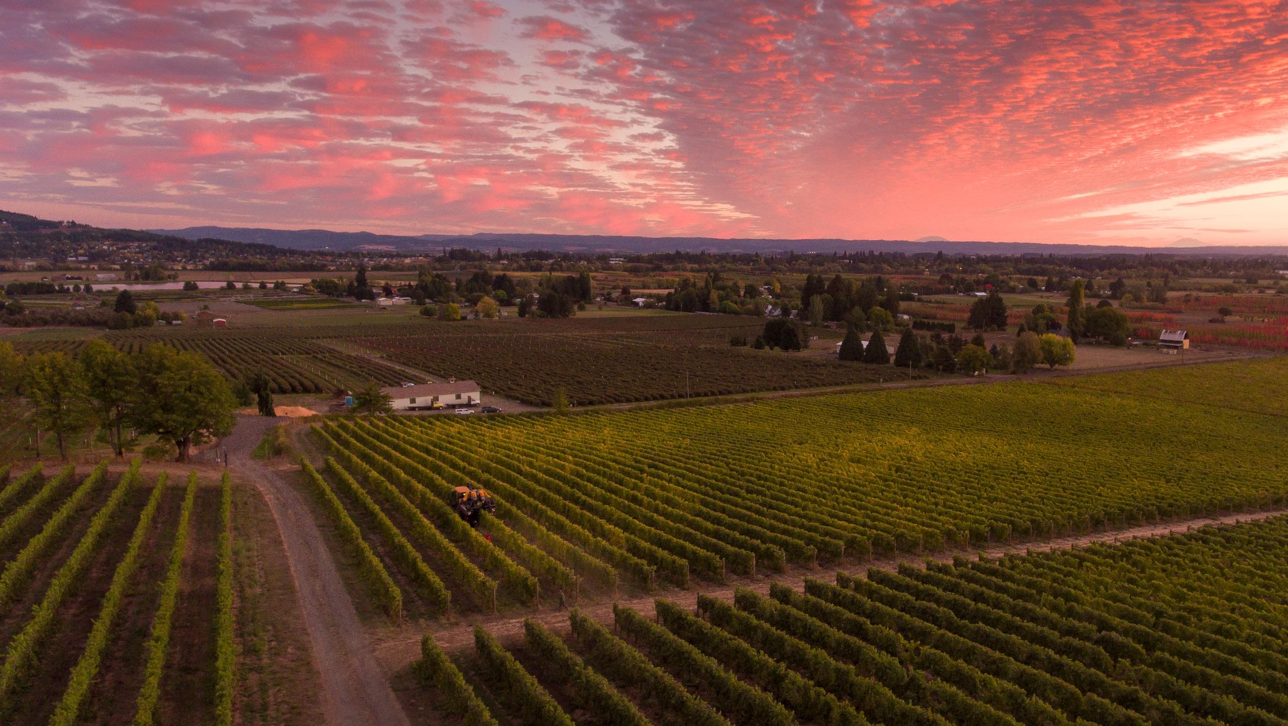 4 New Willamette Valley Sub-AVAs on the Horizon in Oregon | SevenFifty ...