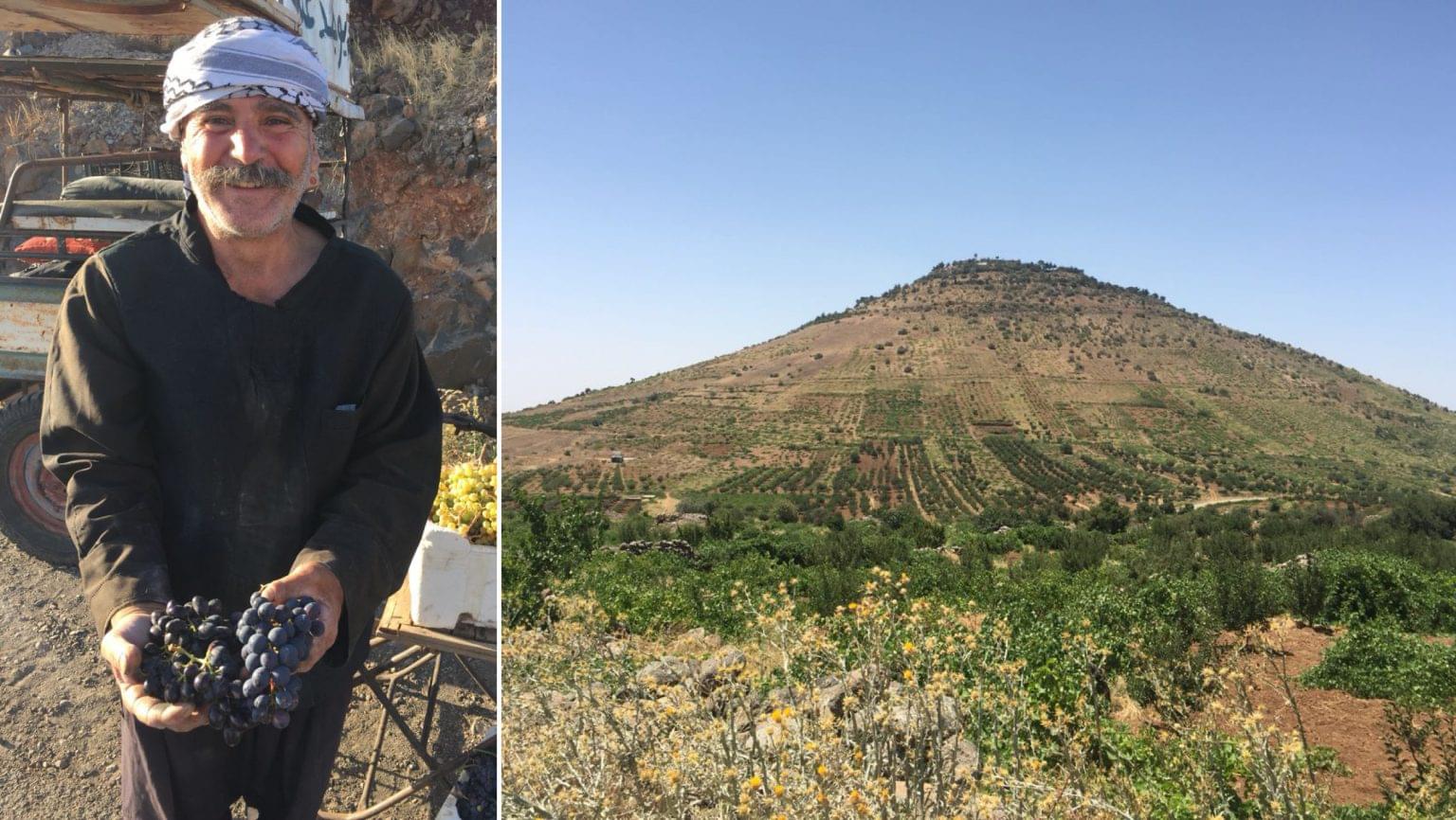 How One Winemaker Is Rescuing Syria’s Forgotten Grapes | SevenFifty Daily