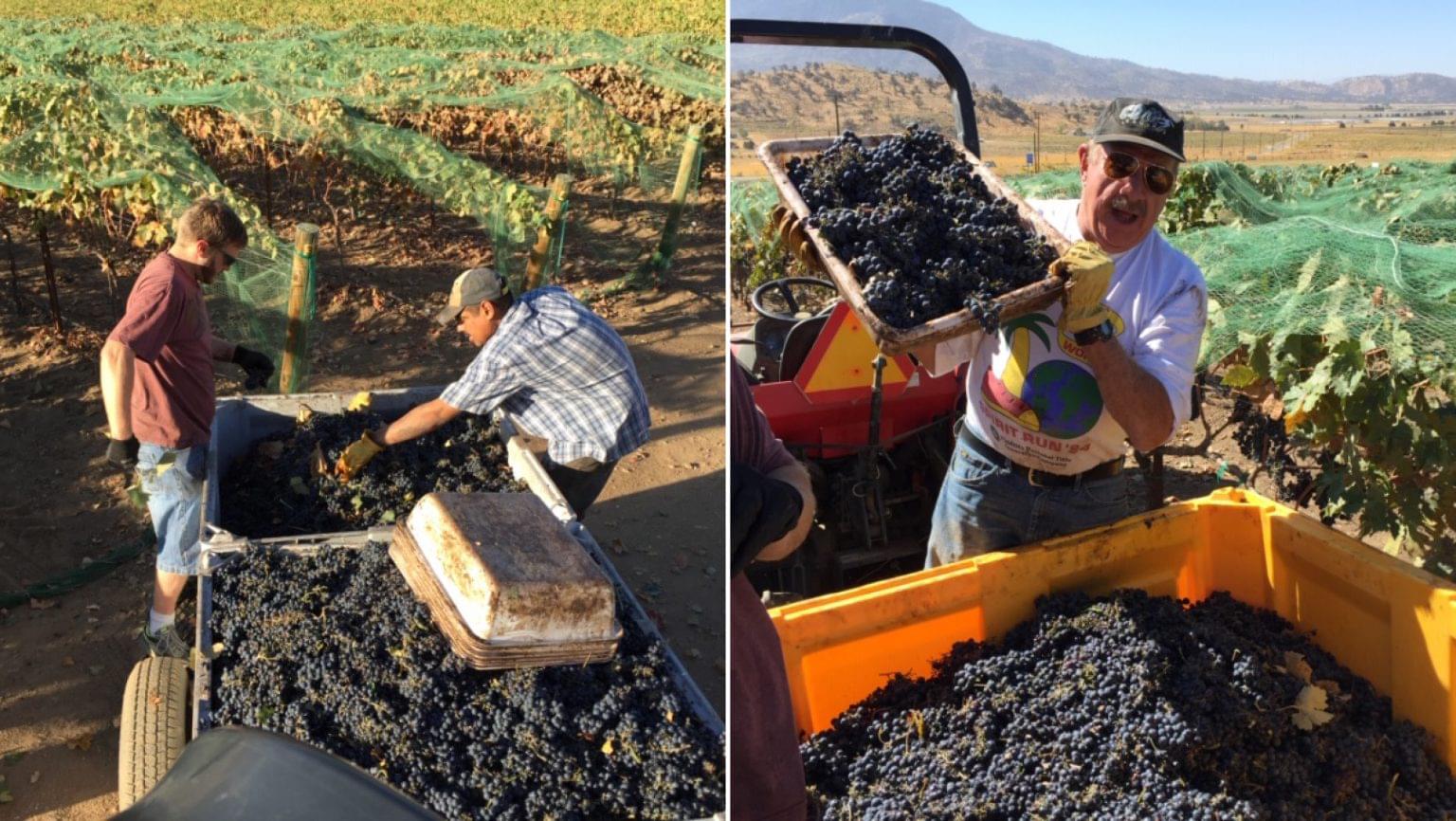 8 New American Viticultural Areas on the Horizon in California ...
