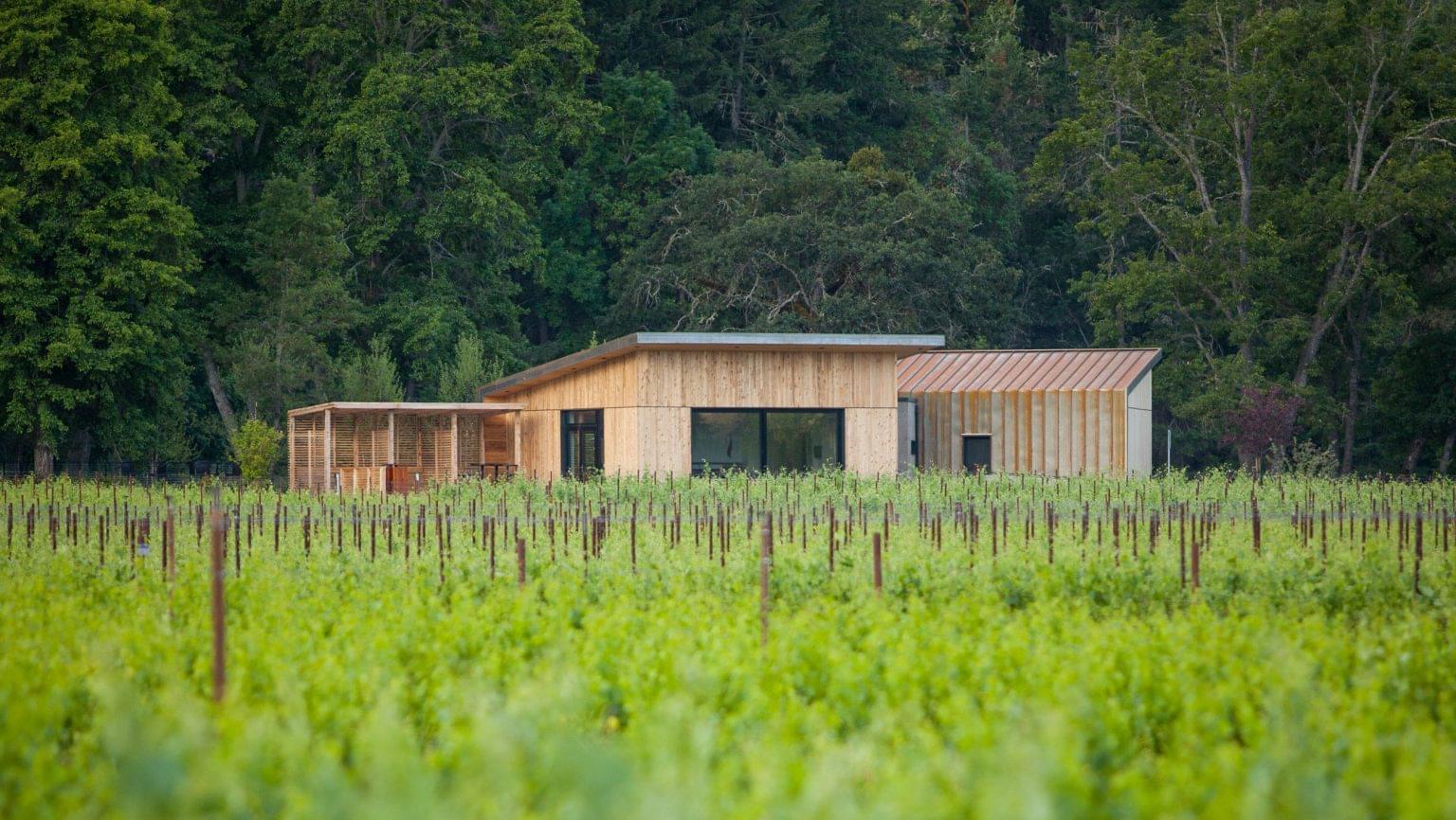 Tracing the Origin Story of Biodynamic Wine | SevenFifty Daily