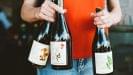 Gamay vs. Valdiguié: The Smackdown | SevenFifty Daily