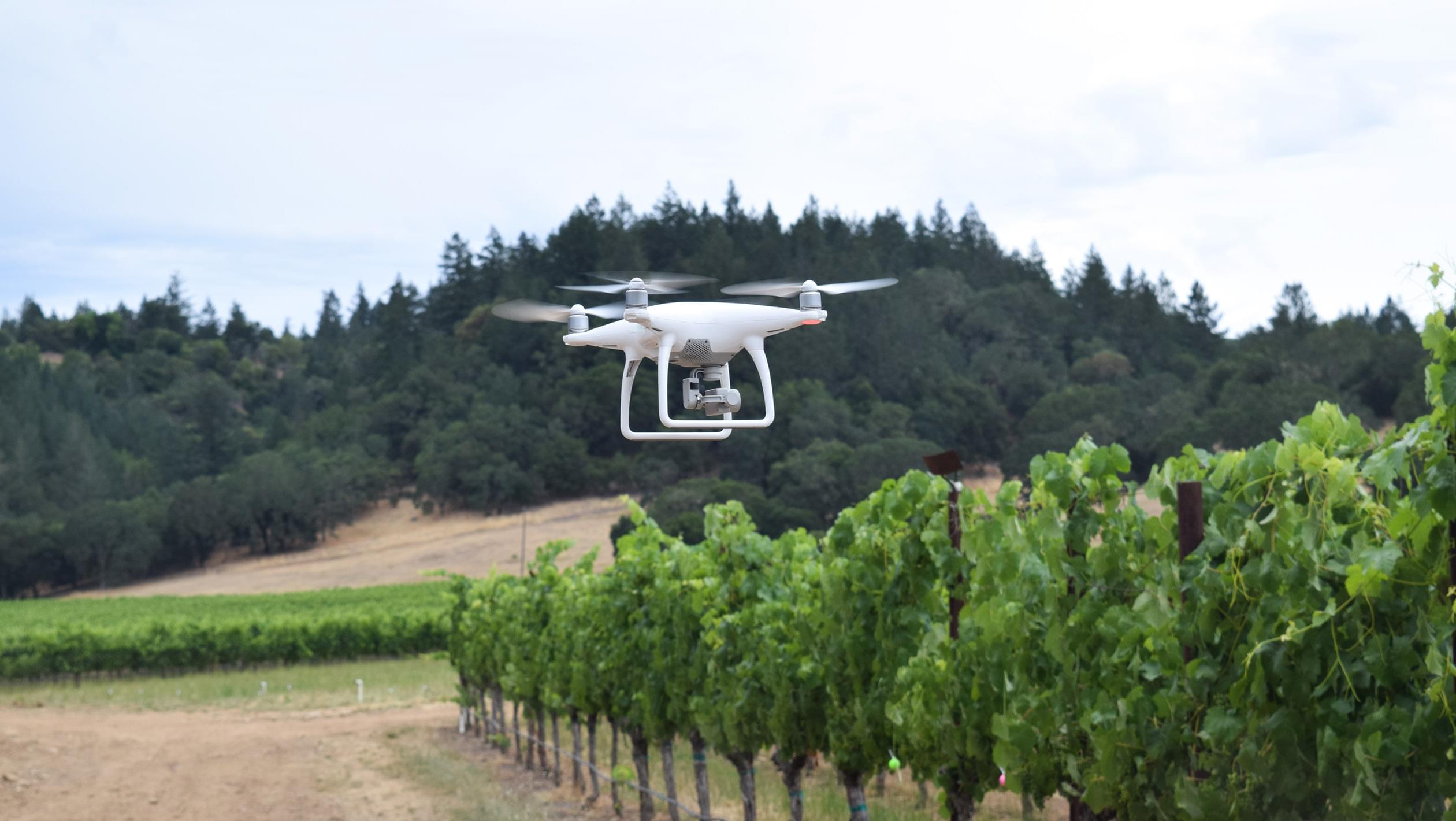 New Ways Drones Are Changing Vineyard Management | SevenFifty Daily