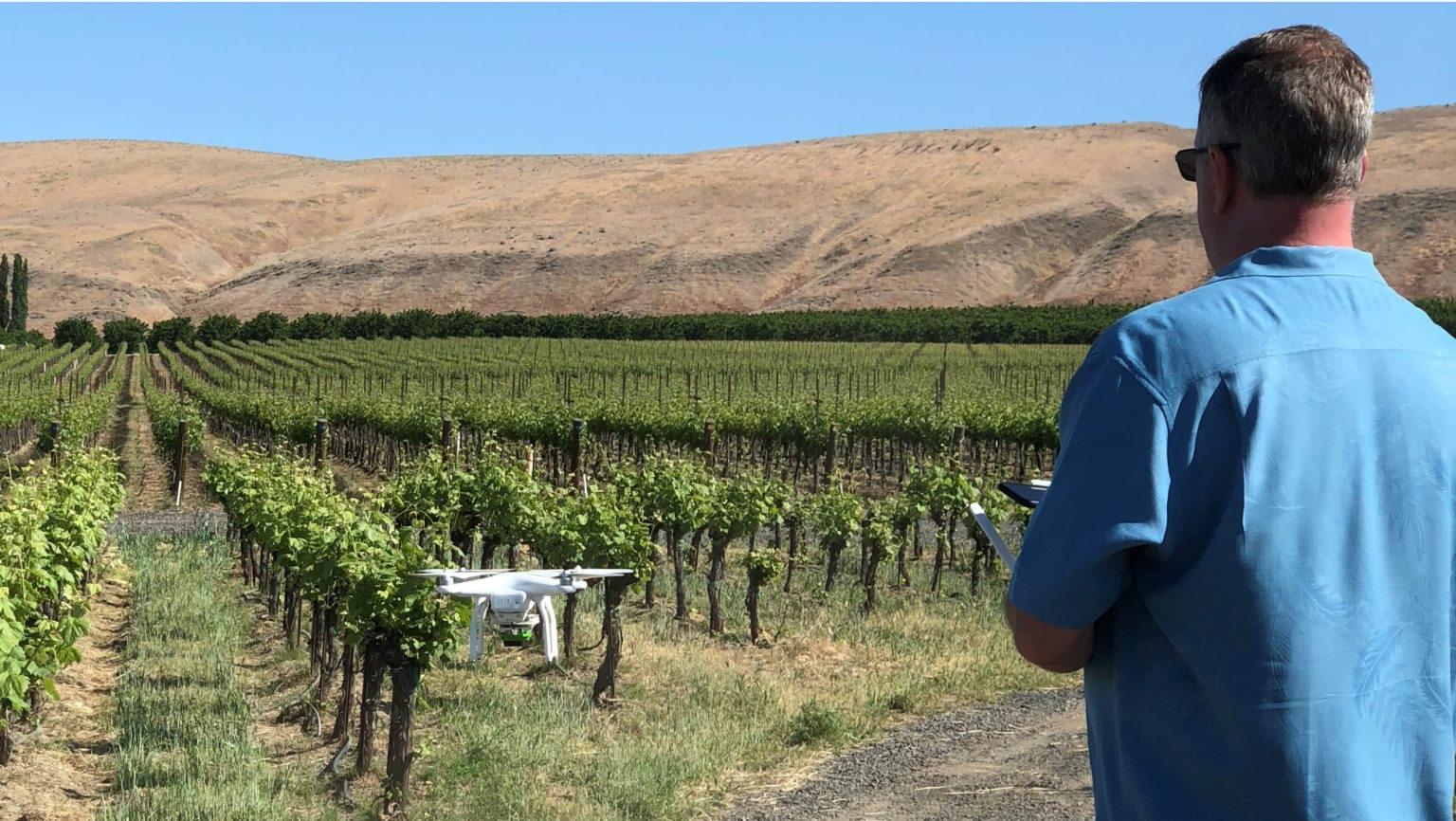 New Ways Drones Are Changing Vineyard Management | SevenFifty Daily