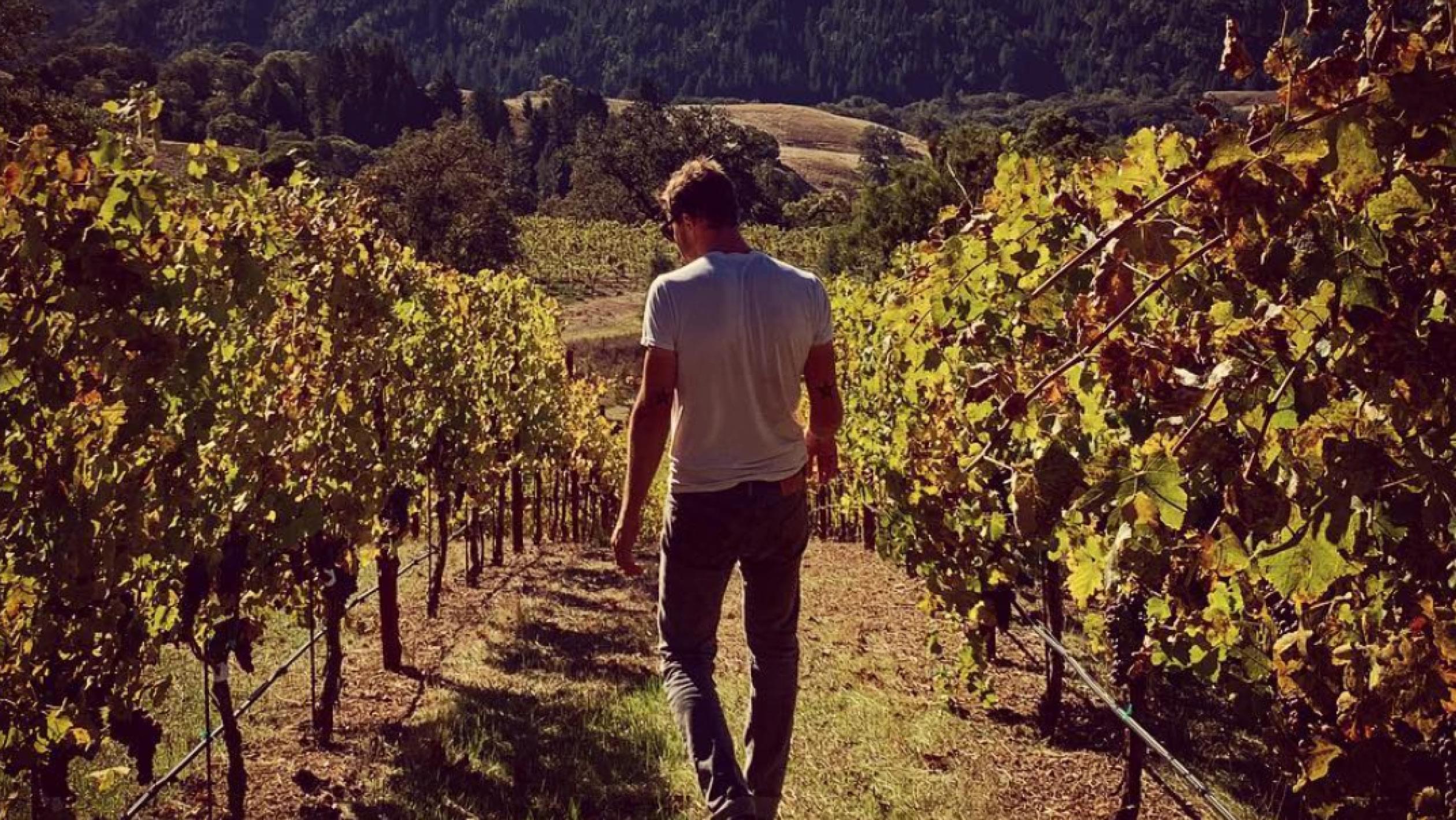 Why More California Winemakers Are Embracing Varietal Diversity ...