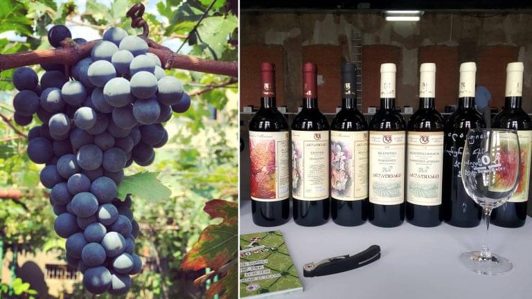 Understanding the Georgian Wine Boom | SevenFifty Daily