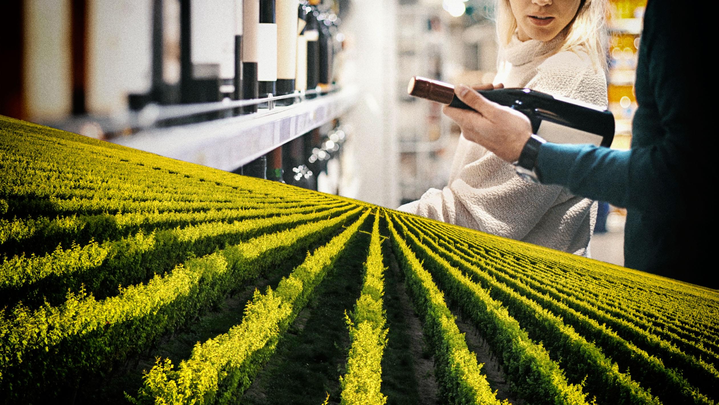 What Retailers Need to Know About Working with Importers | SevenFifty Daily