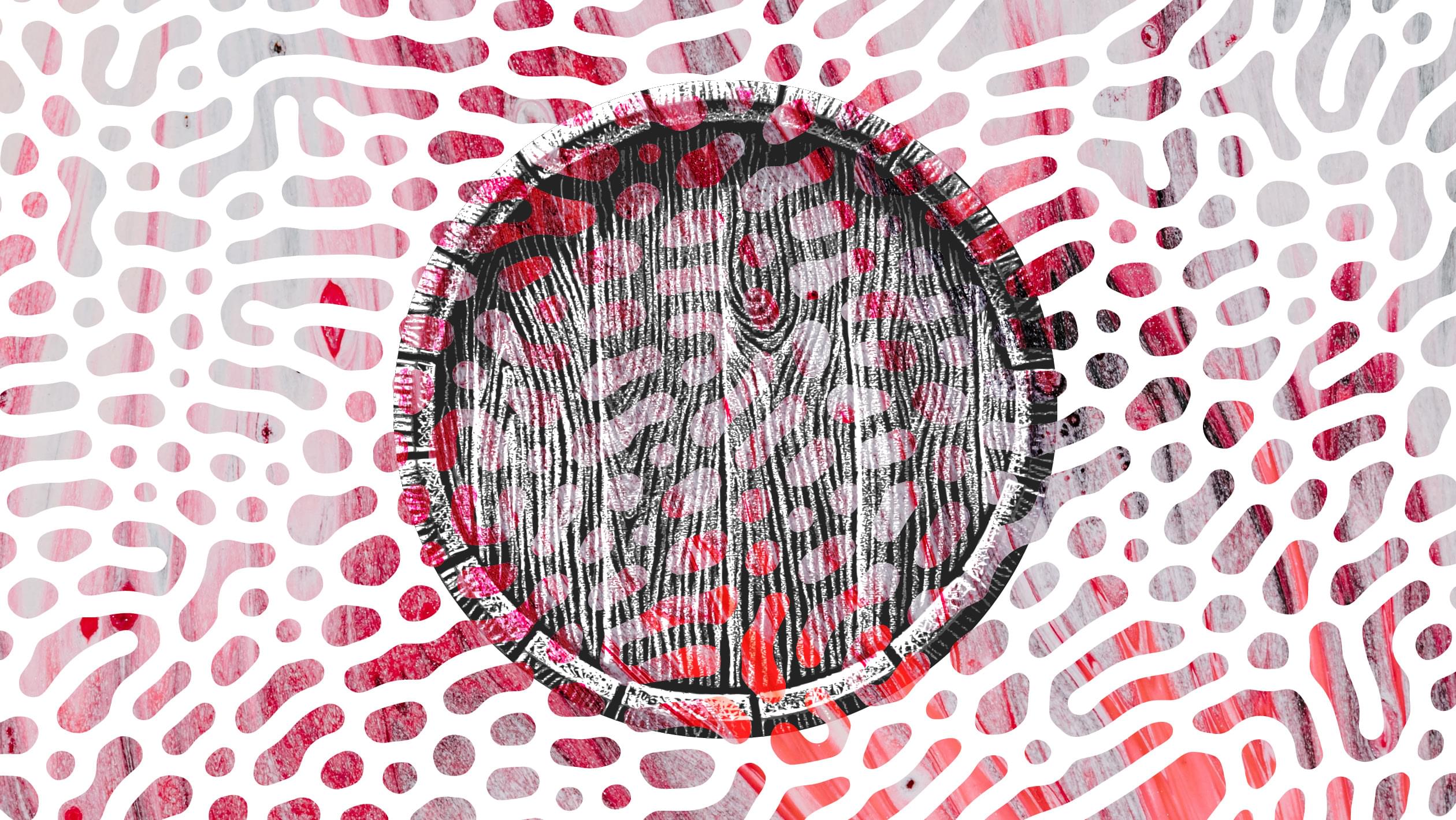 So You Think You Know Malo? | SevenFifty Daily