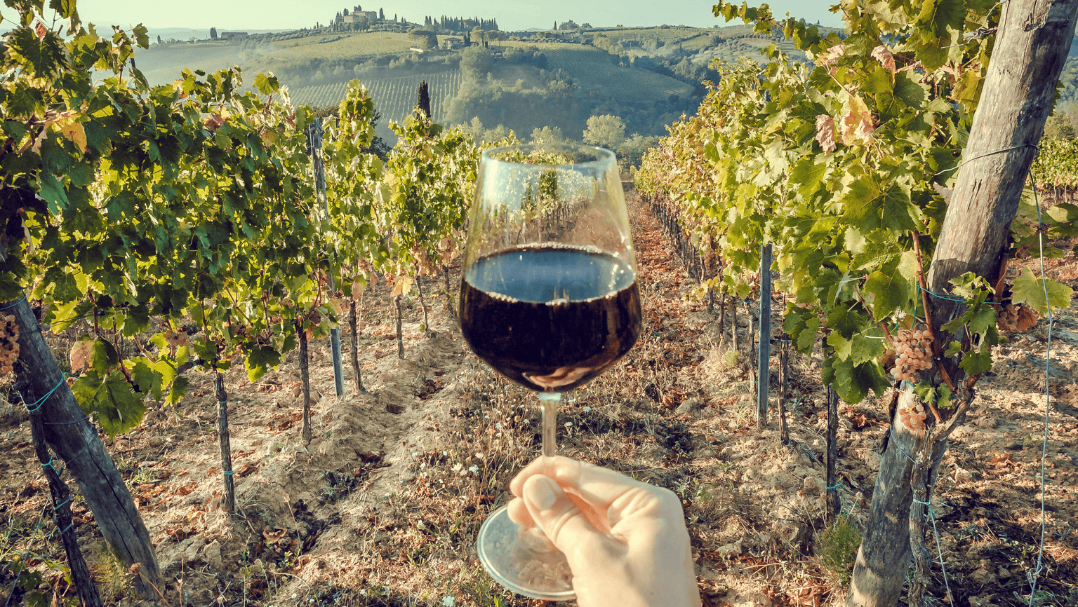 How Winemakers Craft Clean Natural Wines | SevenFifty Daily