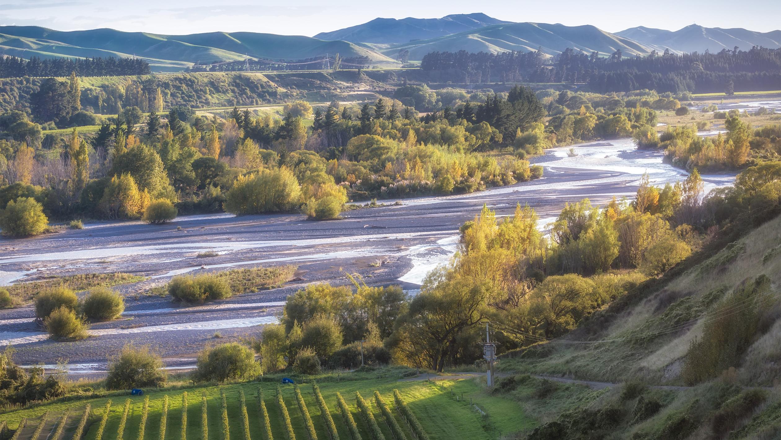 Villa Maria Is Embracing a Whole-Ecosystem Approach to Sustainability ...