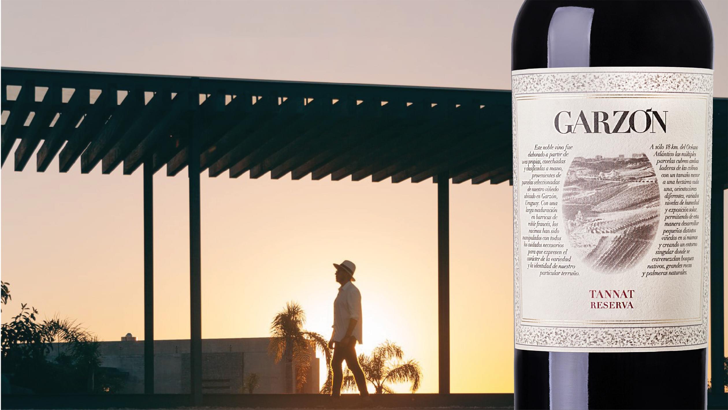 Bodega Garzón Brings New Life to Exciting Grape Varieties | SevenFifty ...