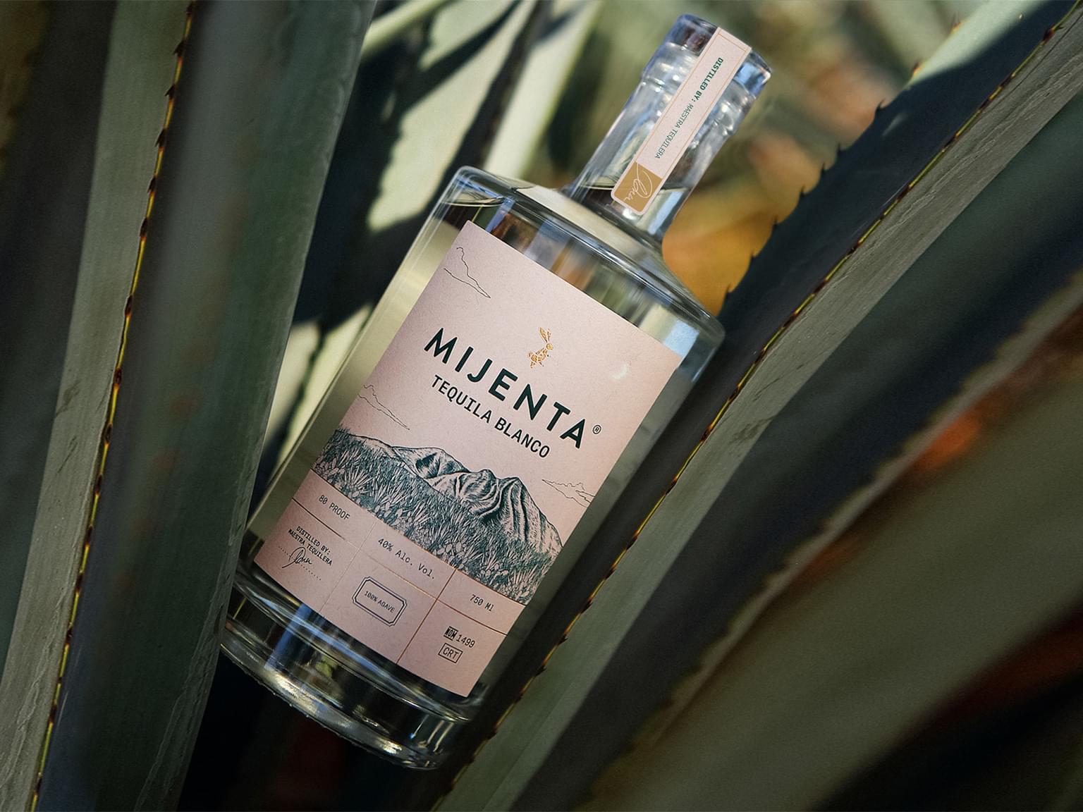 Mijenta Tequila | SevenFifty Daily