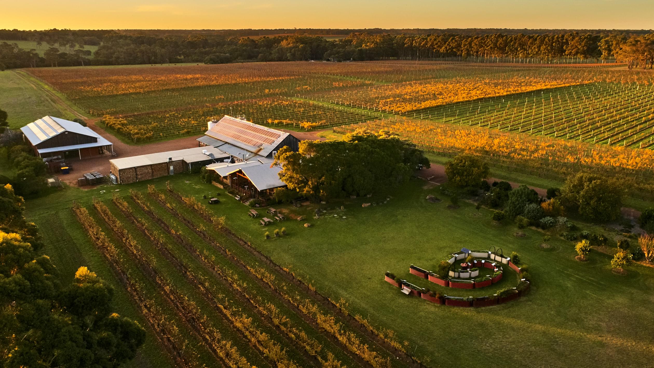 How Producers Are Making Climate-Friendly Winemaking a Reality ...