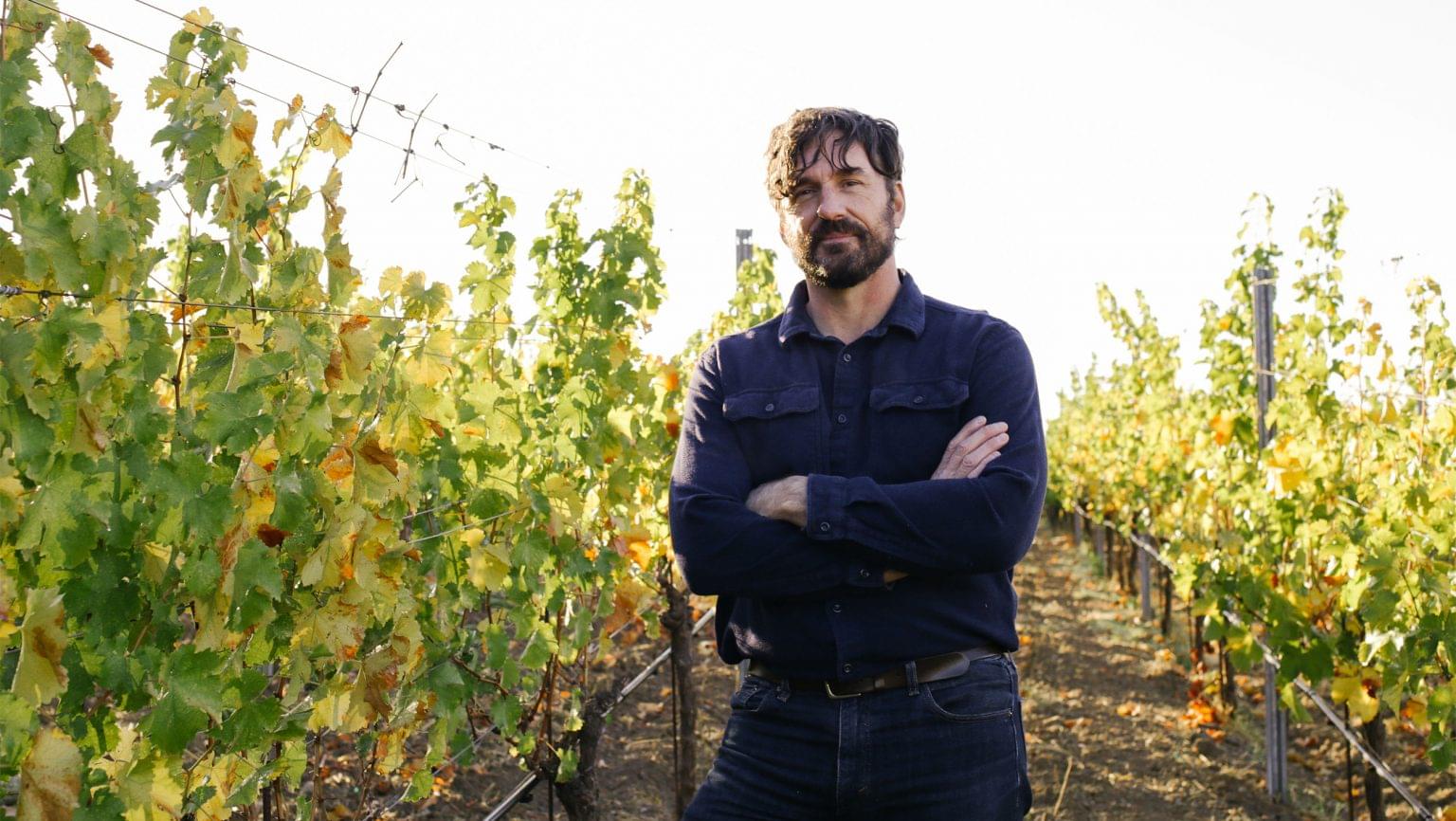 How Producers Are Making Climate-Friendly Winemaking a Reality ...