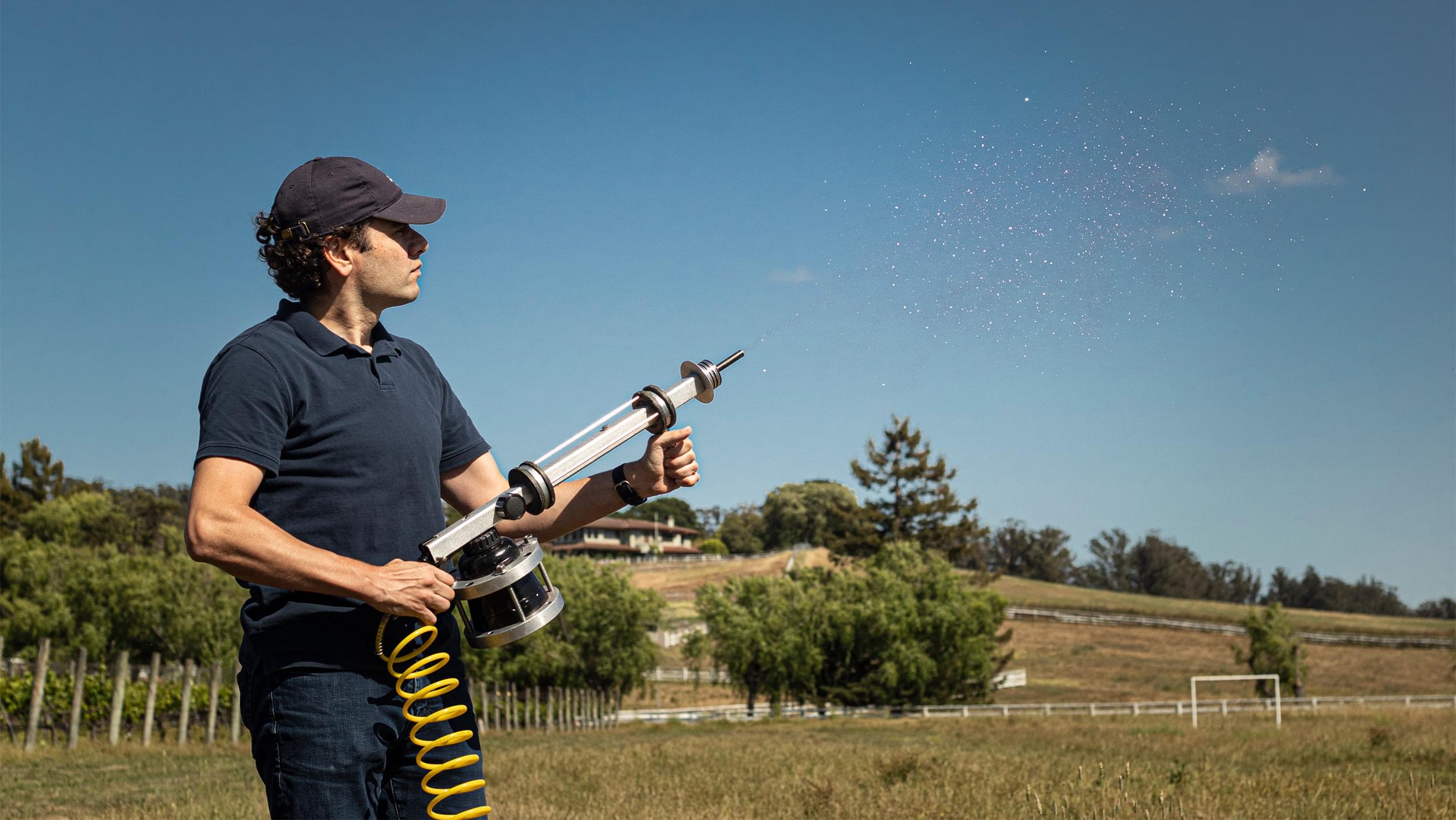 Using Alternative Yeasts to Replace Sulfites in Wines | SevenFifty Daily